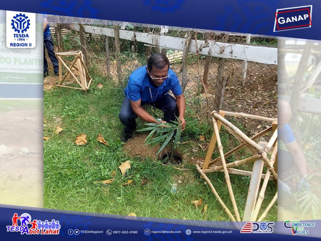 Celebration of the Philippine Bamboo Month – Official Website of Aparri ...