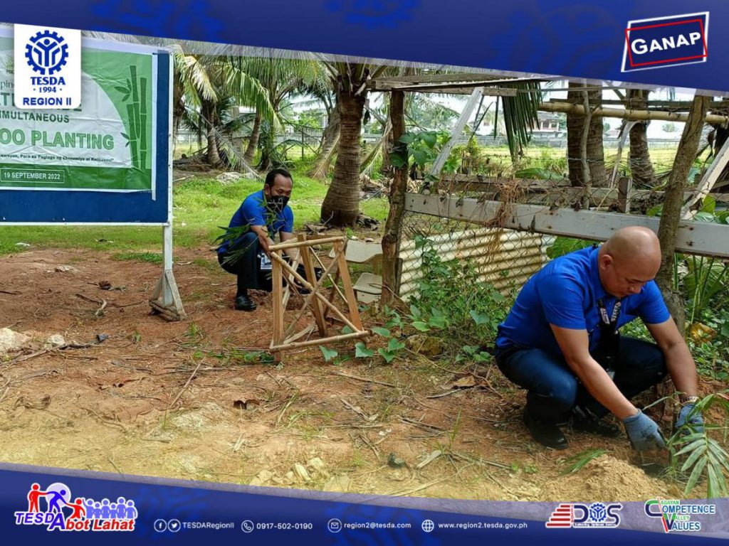Celebration of the Philippine Bamboo Month – Official Website of Aparri ...